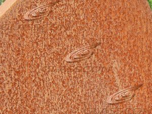 Cor-ten Panels for Walls, Cladding, Roofing & Siding - Glasscon